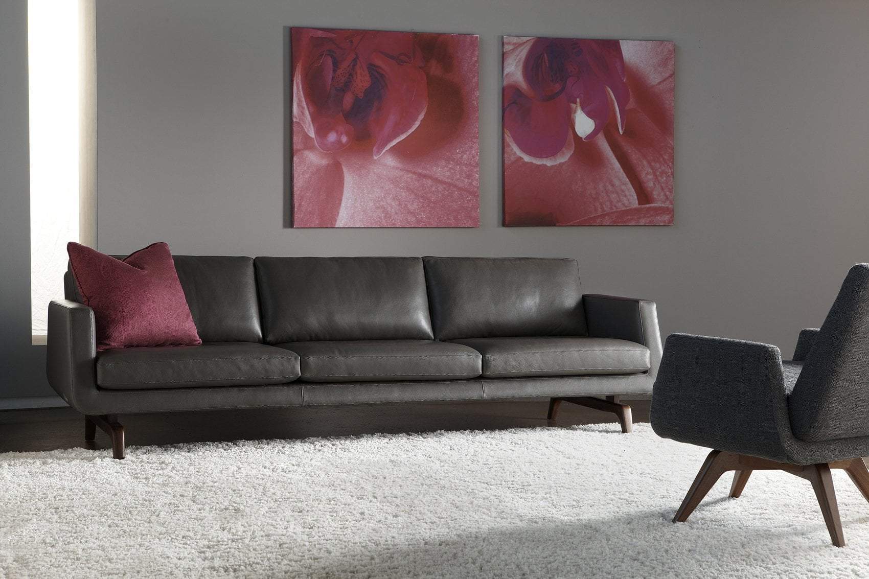 American leather sofa sale store