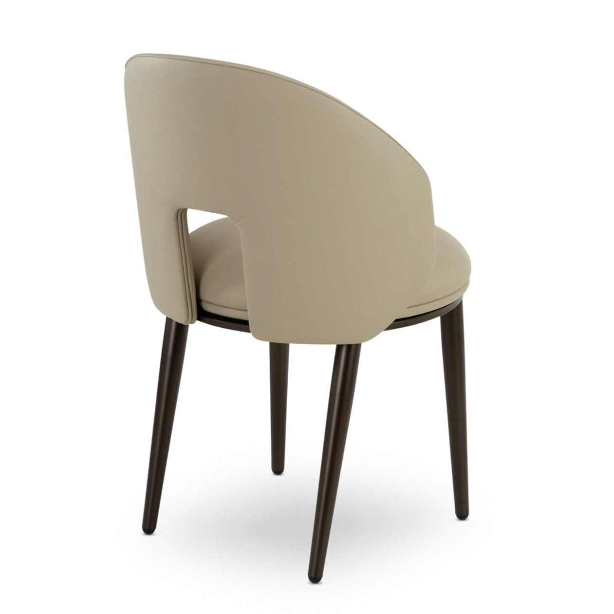 Clay Dining Chair by Elite Modern