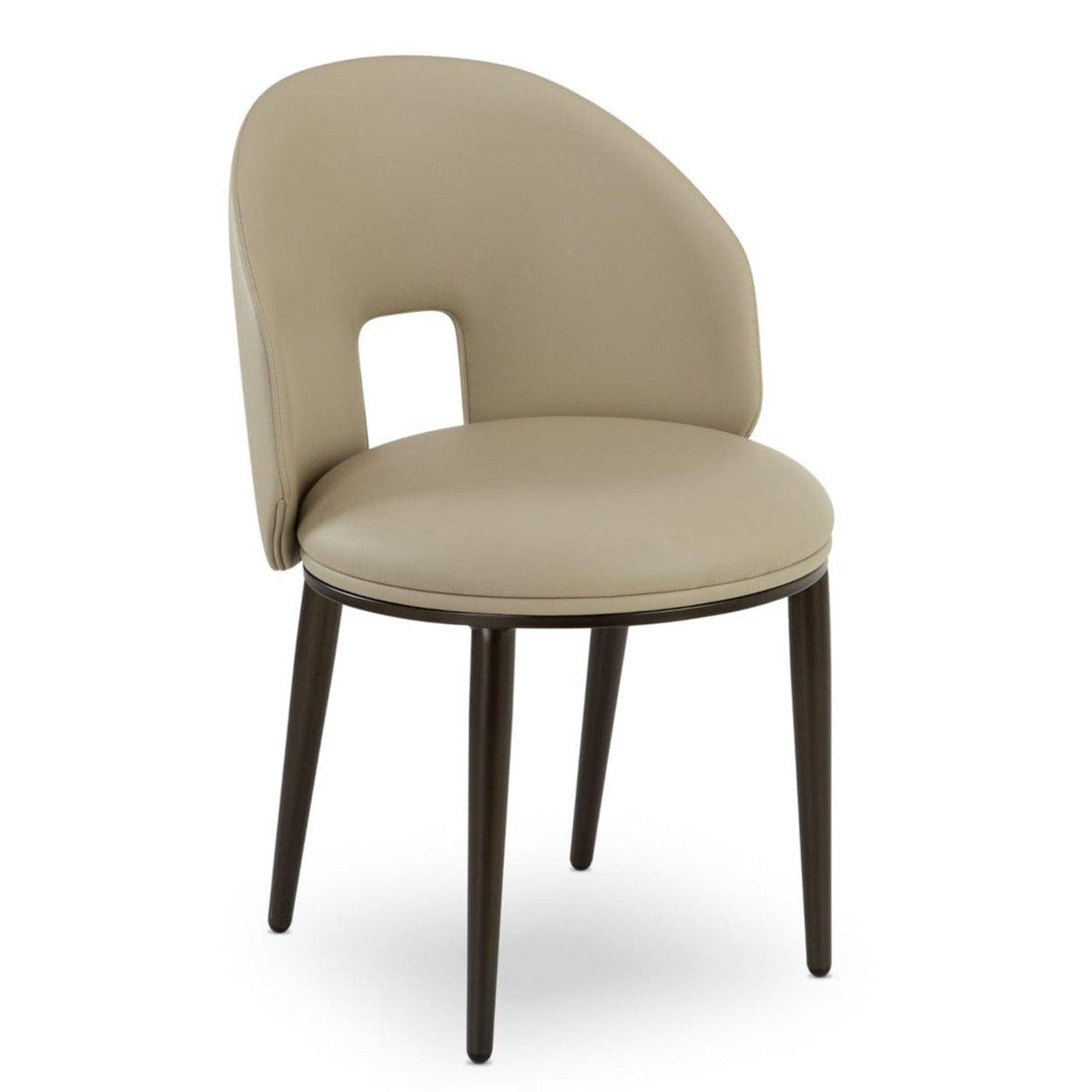 Elite Modern Clay Dining Chair – Jensen-Lewis